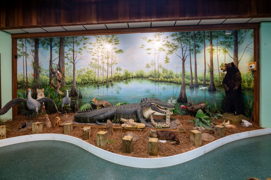 Calusa Nature Center & Planetarium, Fort Myers, FL | 360 Virtual Tour ...